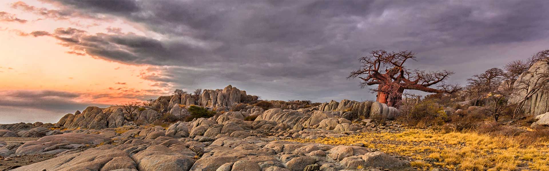 Kubu Island in Botswana | Infos von African Dreamtravel